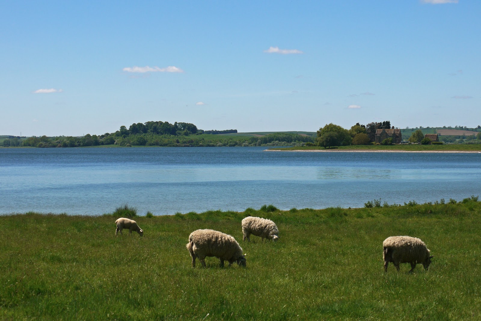 Walking in the country: Rutland Water: the Hambleton peninsula