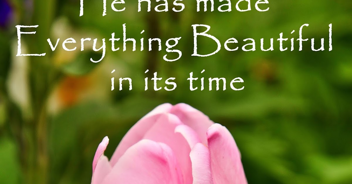 My Daily Inspiration Bible Verses: He has made everything beautiful in ...