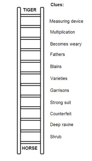 Beautiful Math: WORD LADDERS - a cool way to shift thinking for ...