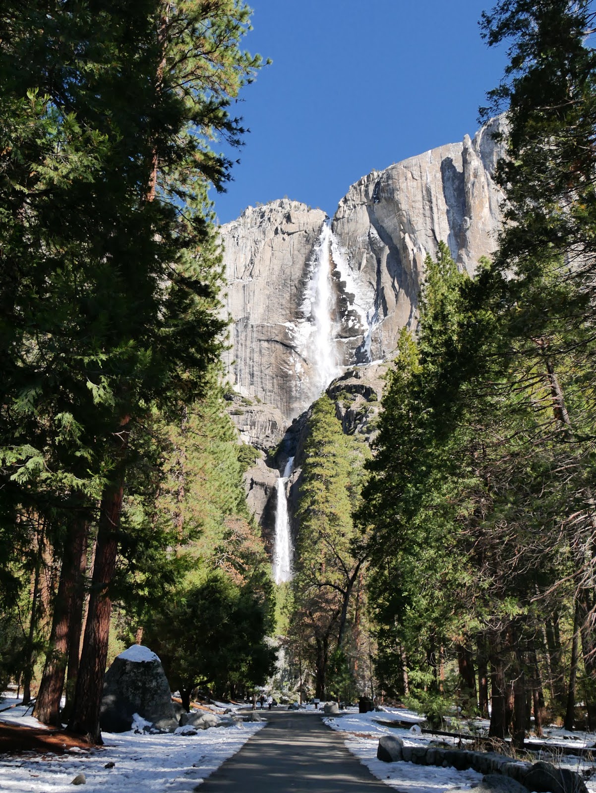 American Travel Journal: Lower Yosemite Fall Loop Trail - Yosemite ...