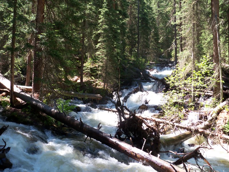 Trail and Park Reviews: Lower Cataract Lake Loop/Creek, North of ...