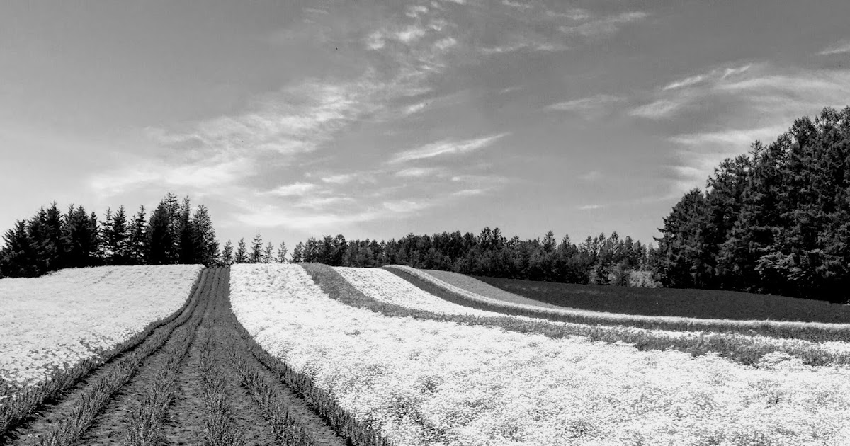 Asahidake tours: Colors of Hokkaido 2