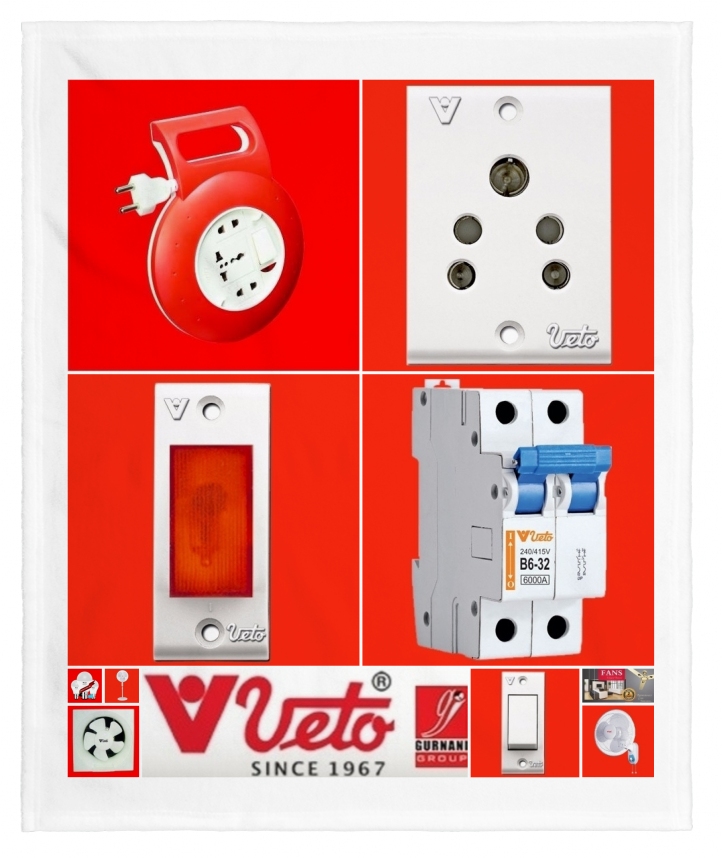 BHAVIKK SHAH's BLOG: VETO SWITCHGEARS AND CABLES LTD : VETO POWER