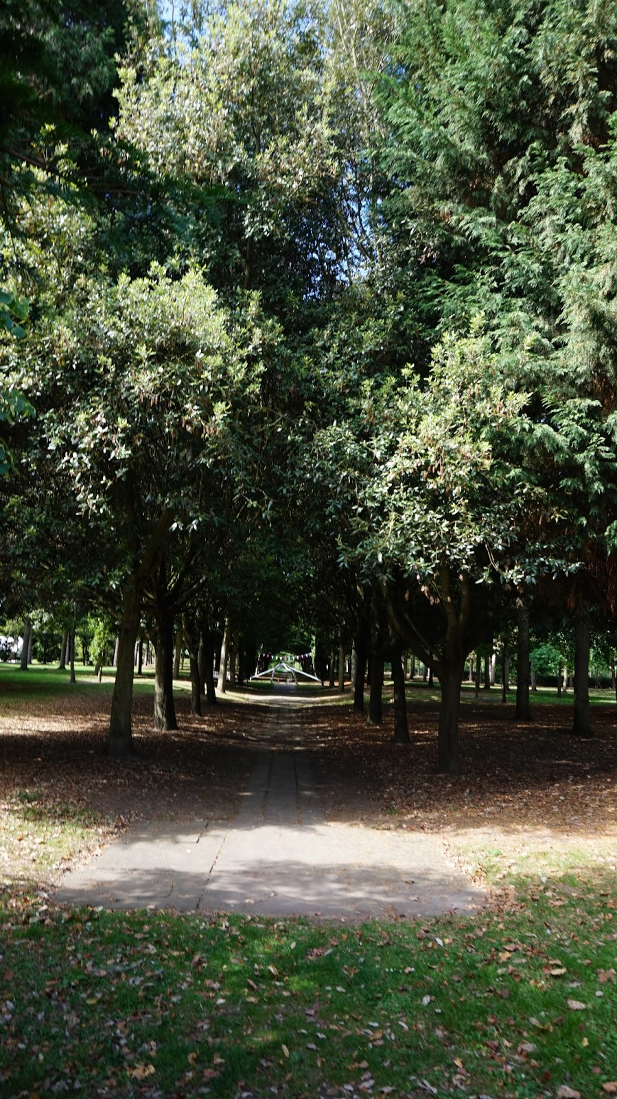 Camphill Community Milton-Keynes: Milton Keynes Tree Cathedral
