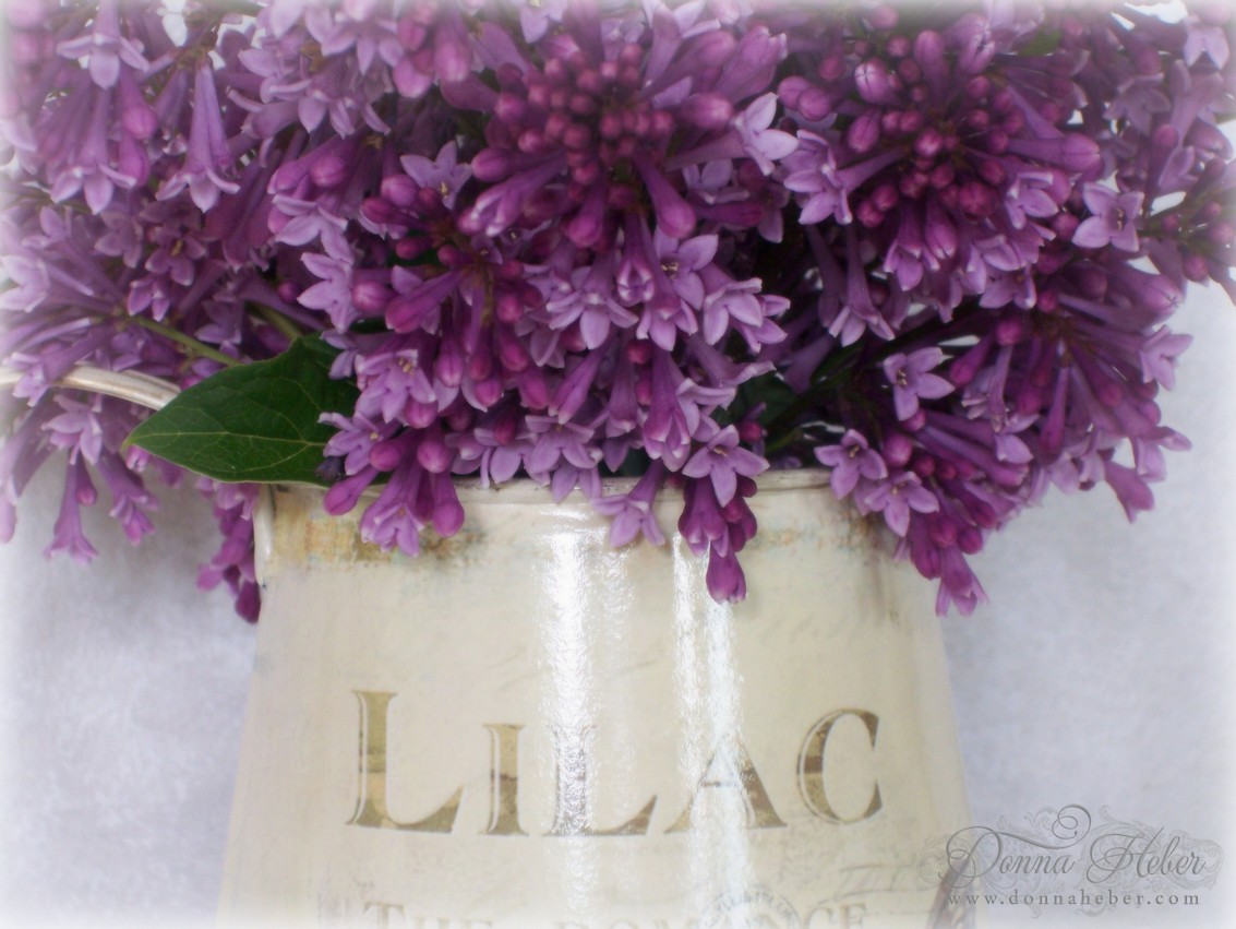 Donna's Designs: Pretty Lilacs