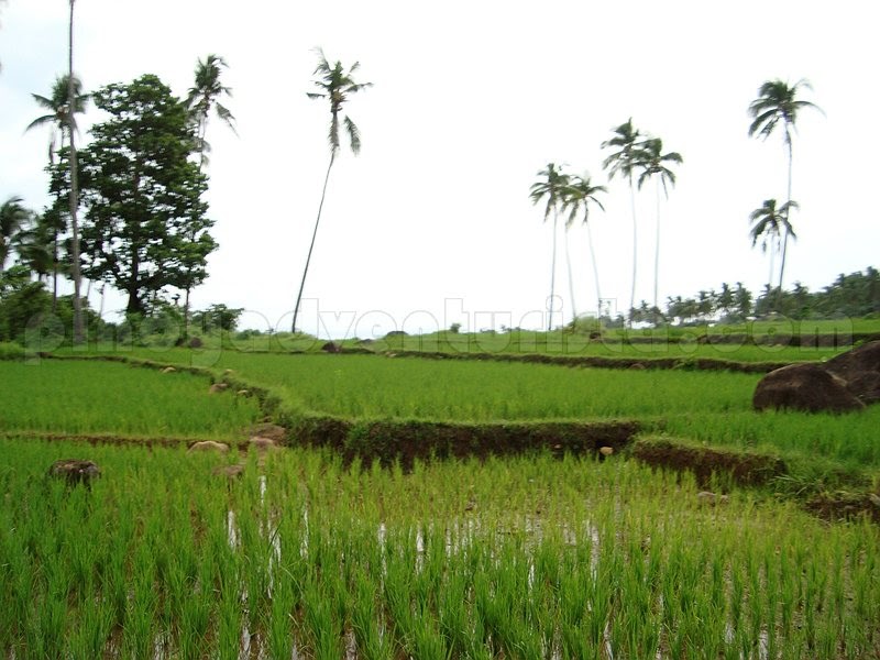 BILIRAN BUDGET TRAVEL GUIDE: DIY Itinerary, Things to do, How To Get ...