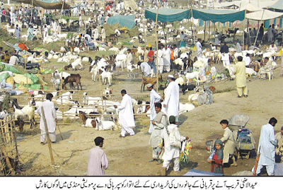 Bakra Mandi , Bakra Eid Pakistan
