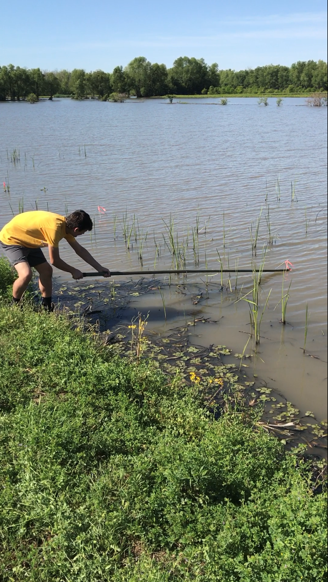 Hollier on da Bayou: South Farm Crawfishing