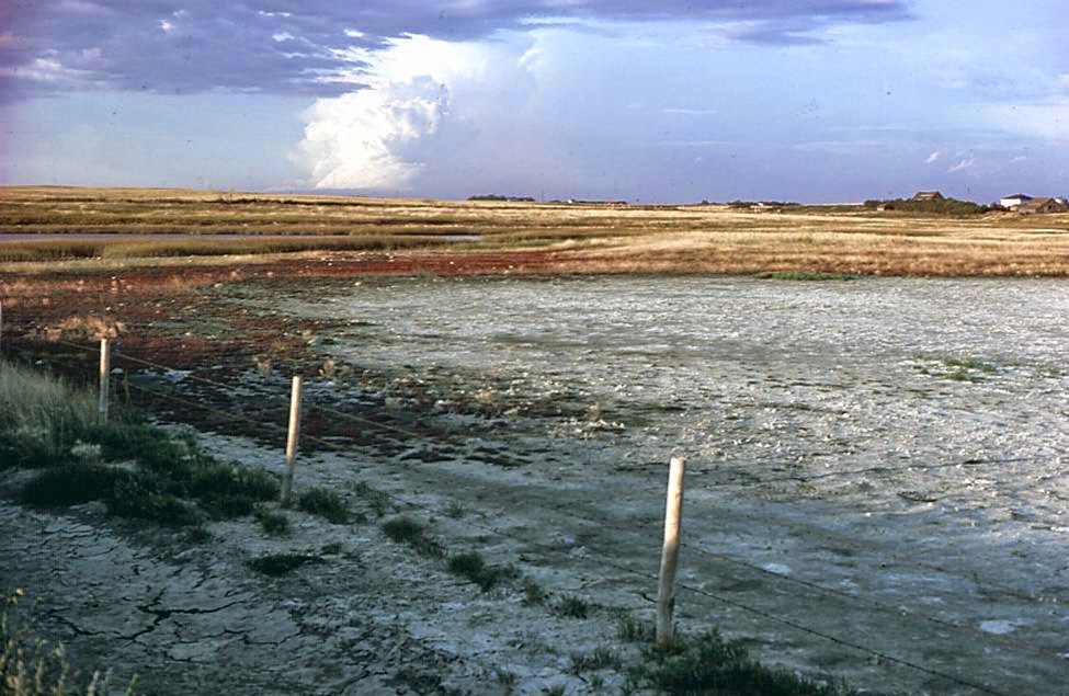 International Network for Natural Sciences | Blog site - Research ...