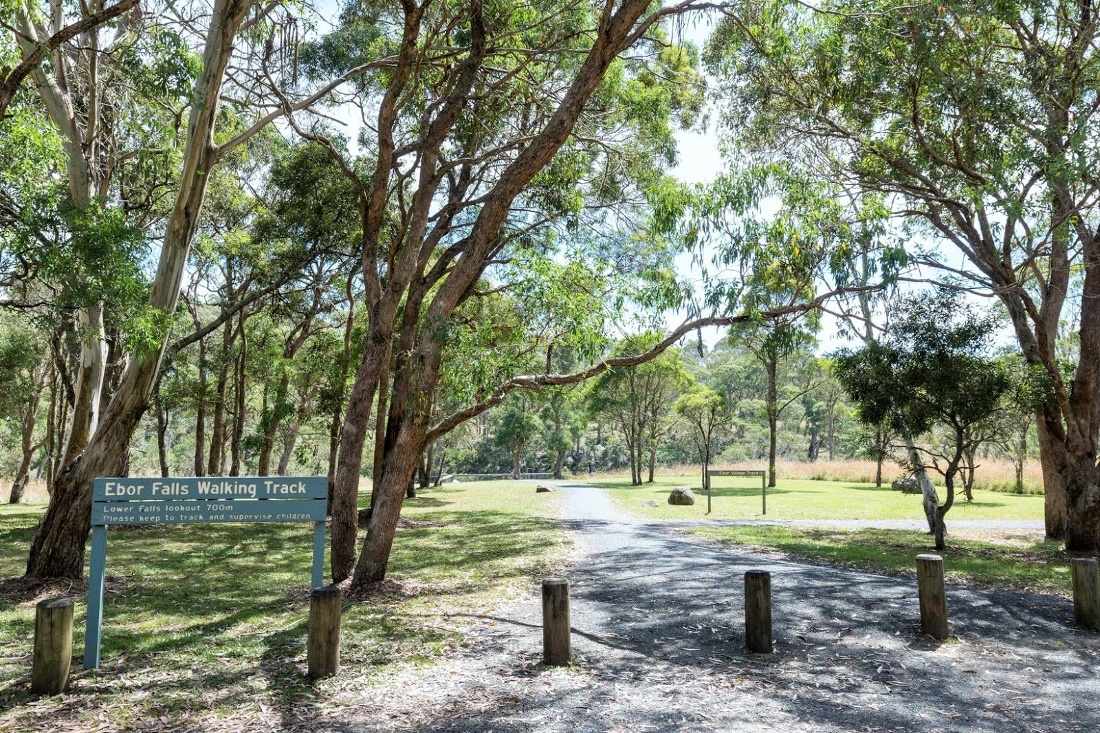 National Park Odyssey: Ebor Falls, Guy Fawkes River National Park, NSW.