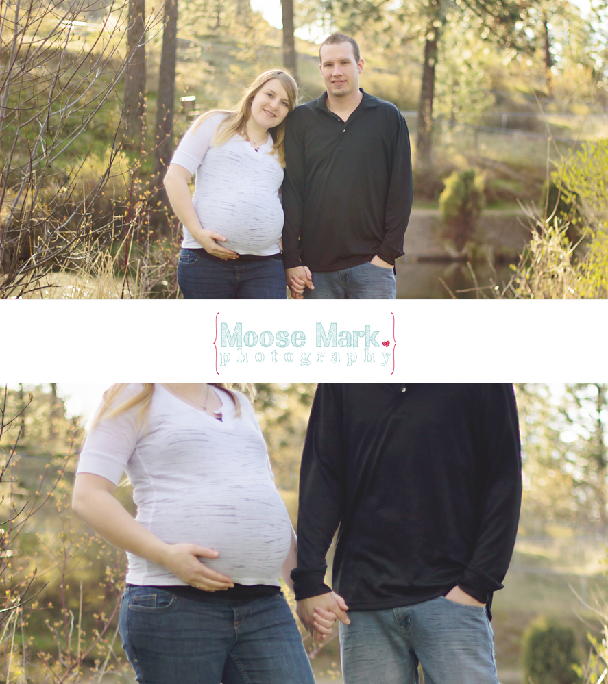 Moose Mark Photography