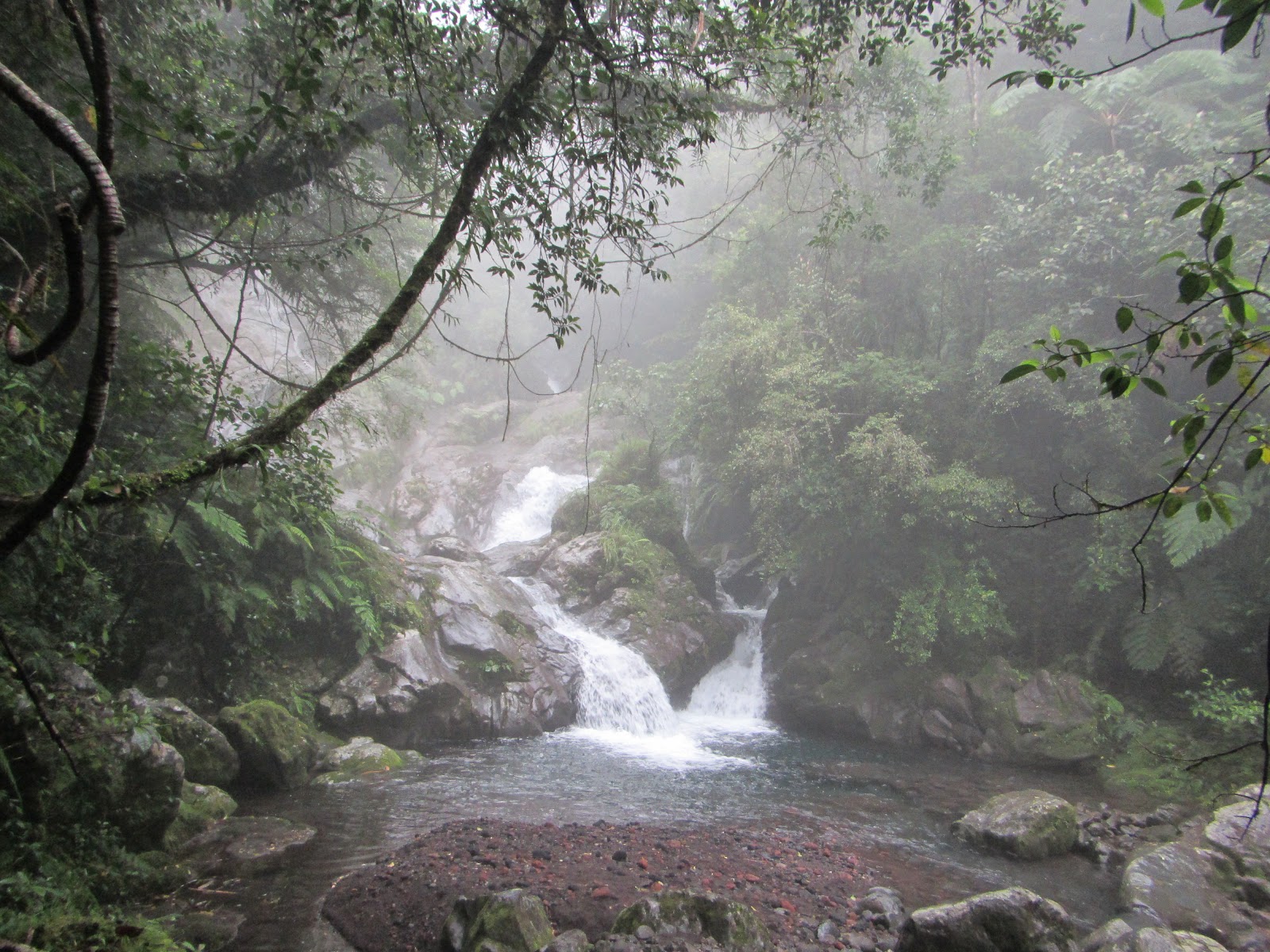 LEXICAL CROWN: MOUNT KANLAON CLIMB (GUINTUBDAN-GUINTUBDAN TRAIL)
