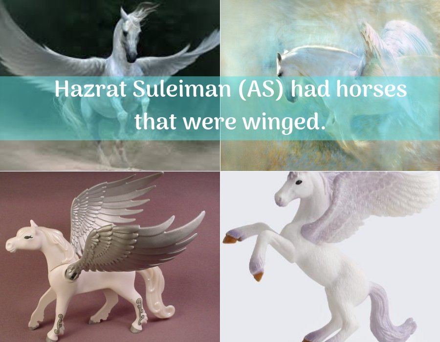 Brief History Of Ayesha (RA) | A Short Biography of Hazrat Aisha (RA)