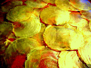 Hall 1 Balay Lampirong