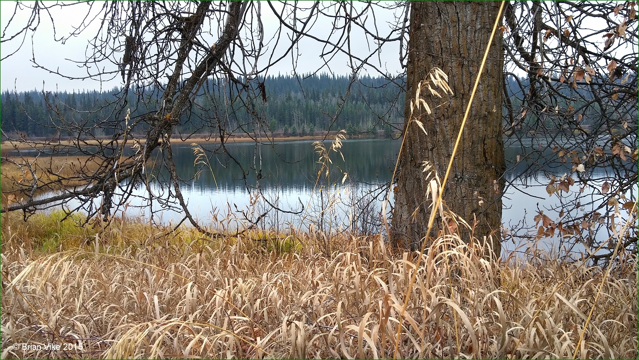 Northern Interior British Columbia: Rose Lake British Columbia (Pictures)