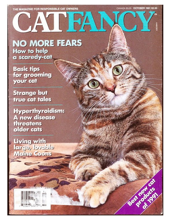 love, elizabethany: magazine covers from the 90s