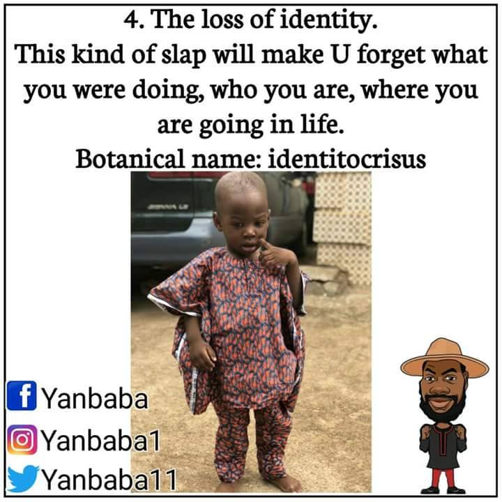 Stella Dimoko Korkus.com: Different Types Of Slaps And Their Botanical ...