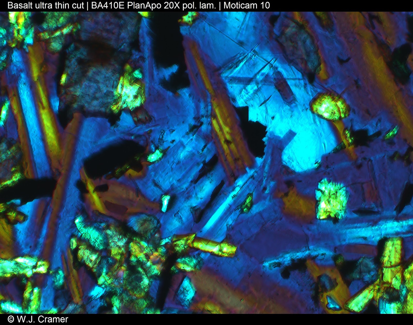 Motic Europe | Blog: August 2016