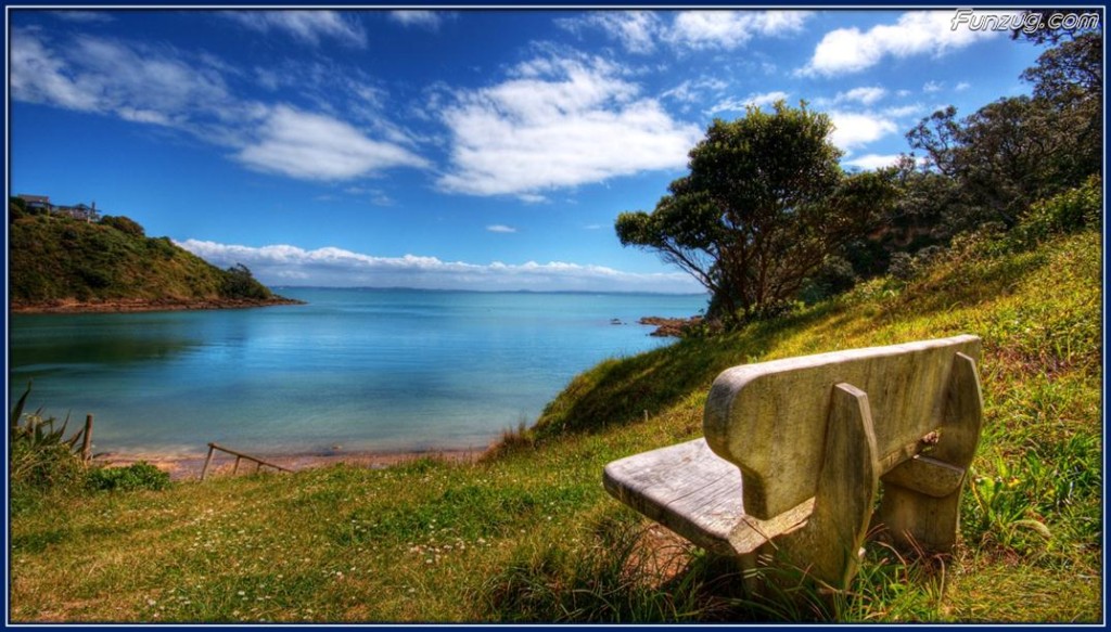 Very Sweet and Cute Animals: Beautiful Nature Scenes