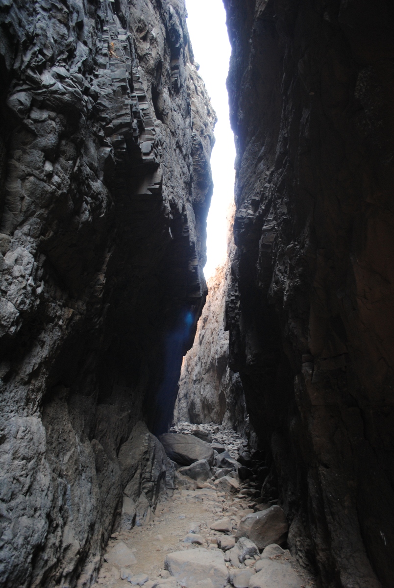 Trek Mates' Diary: Sandhan Valley summer trek