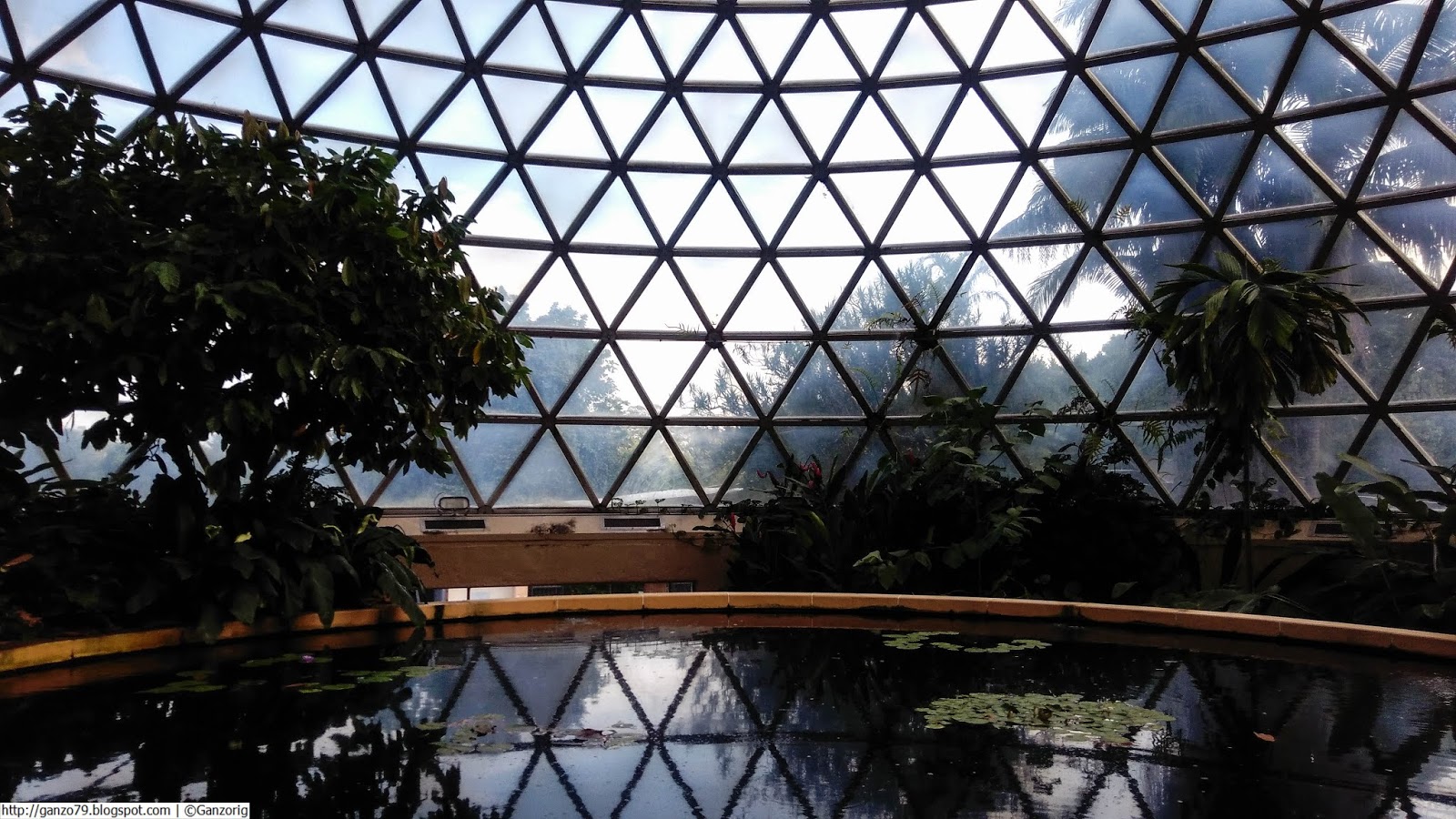G@Hz0p19'$ B10g: Tropical dome