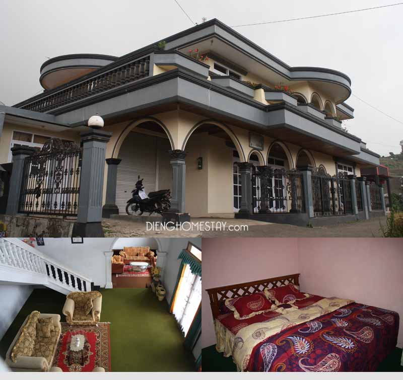 homestay nepenthes dieng | PENGINAPAN WISATA MURAH CERIA DIENG