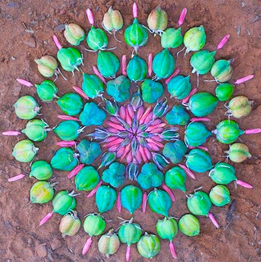 Hola ático: Kathy Klein