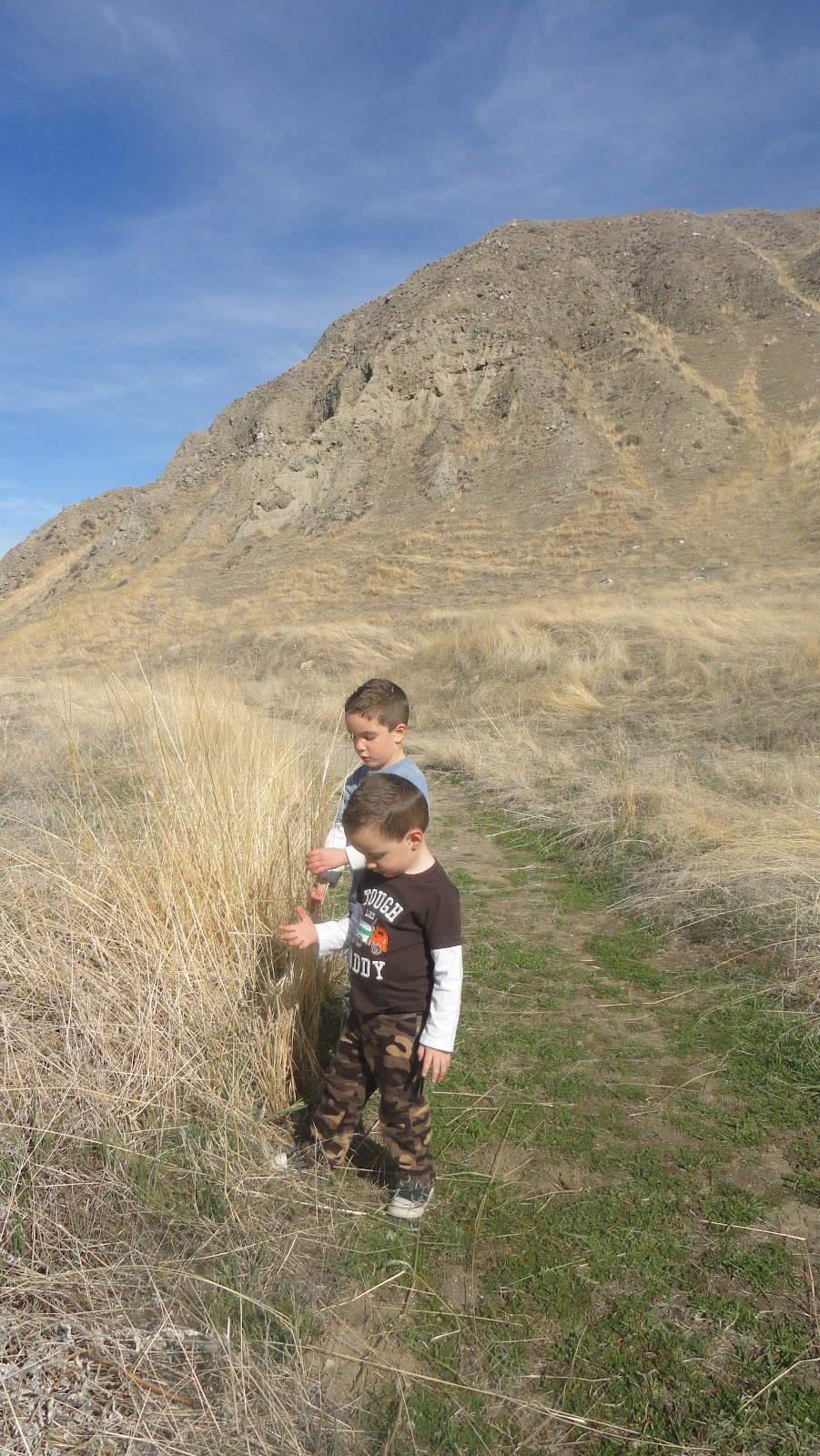 Kern County Adventures: Wind Wolves Preserve