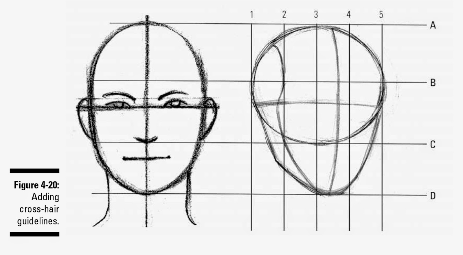 Drawings: Parts of the Head