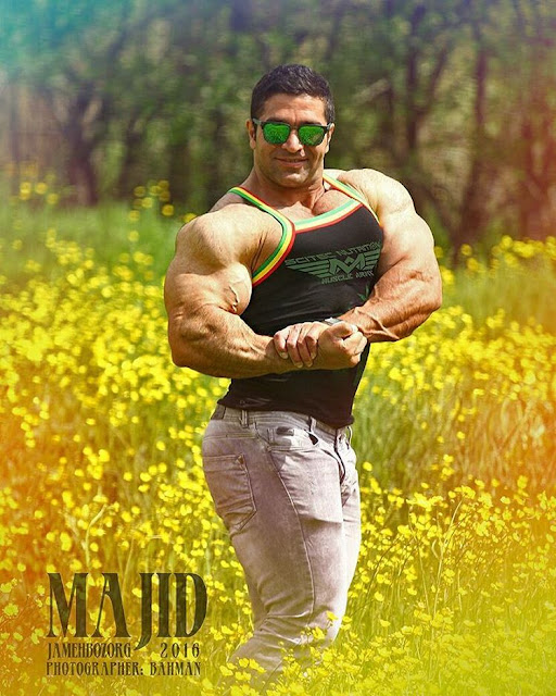 Muscle Lover: Iranian bodybuilder Majid Jameh Bozorg