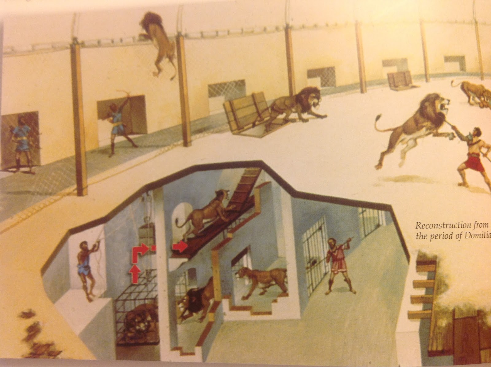 50th Anniversary Cruise: The Roman Colosseum