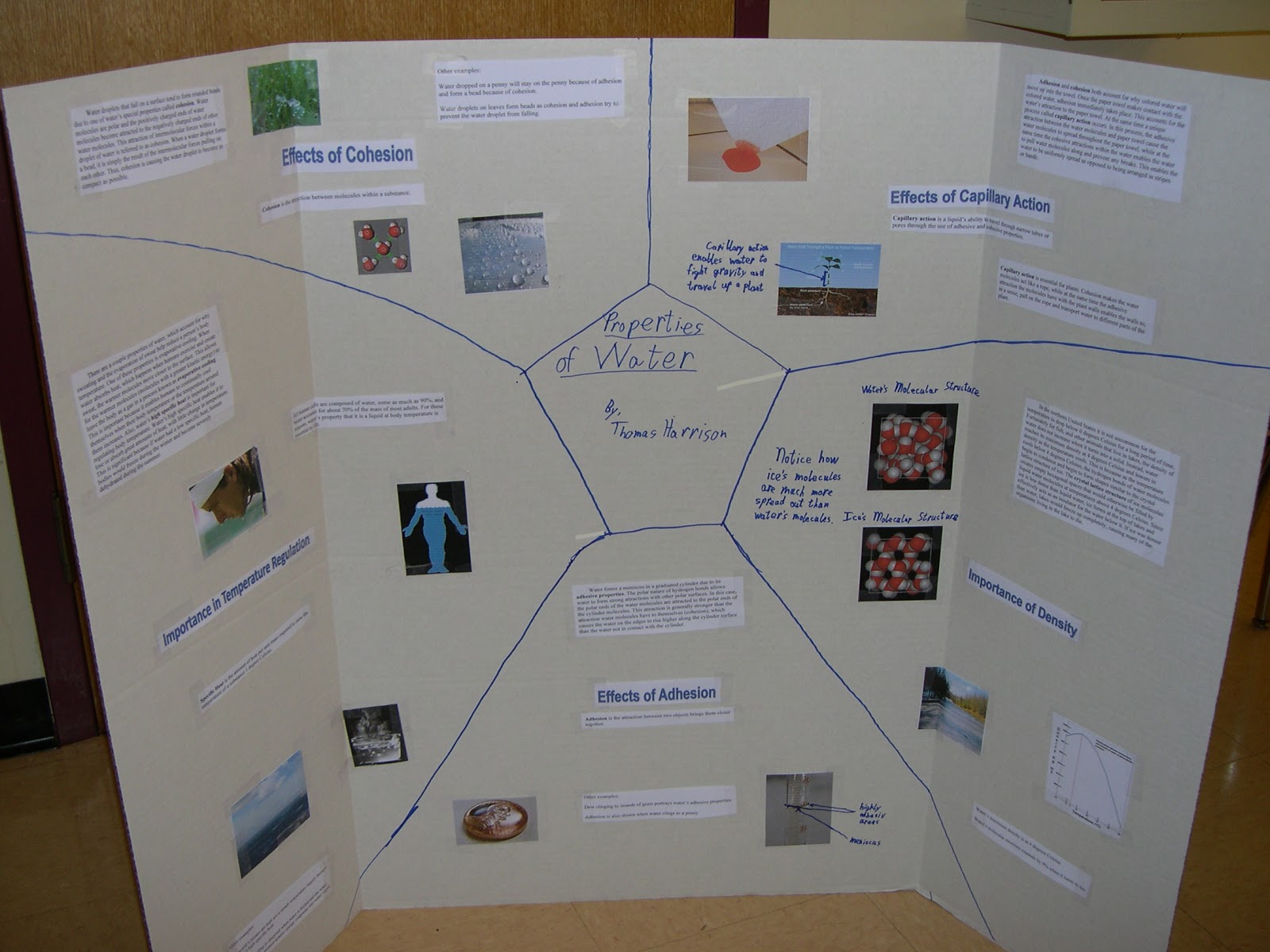 Bronxville AP Biology: Properties of Water Projects