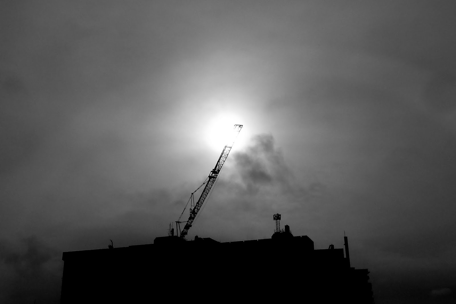 Anachropsy - photography: crane in the sun