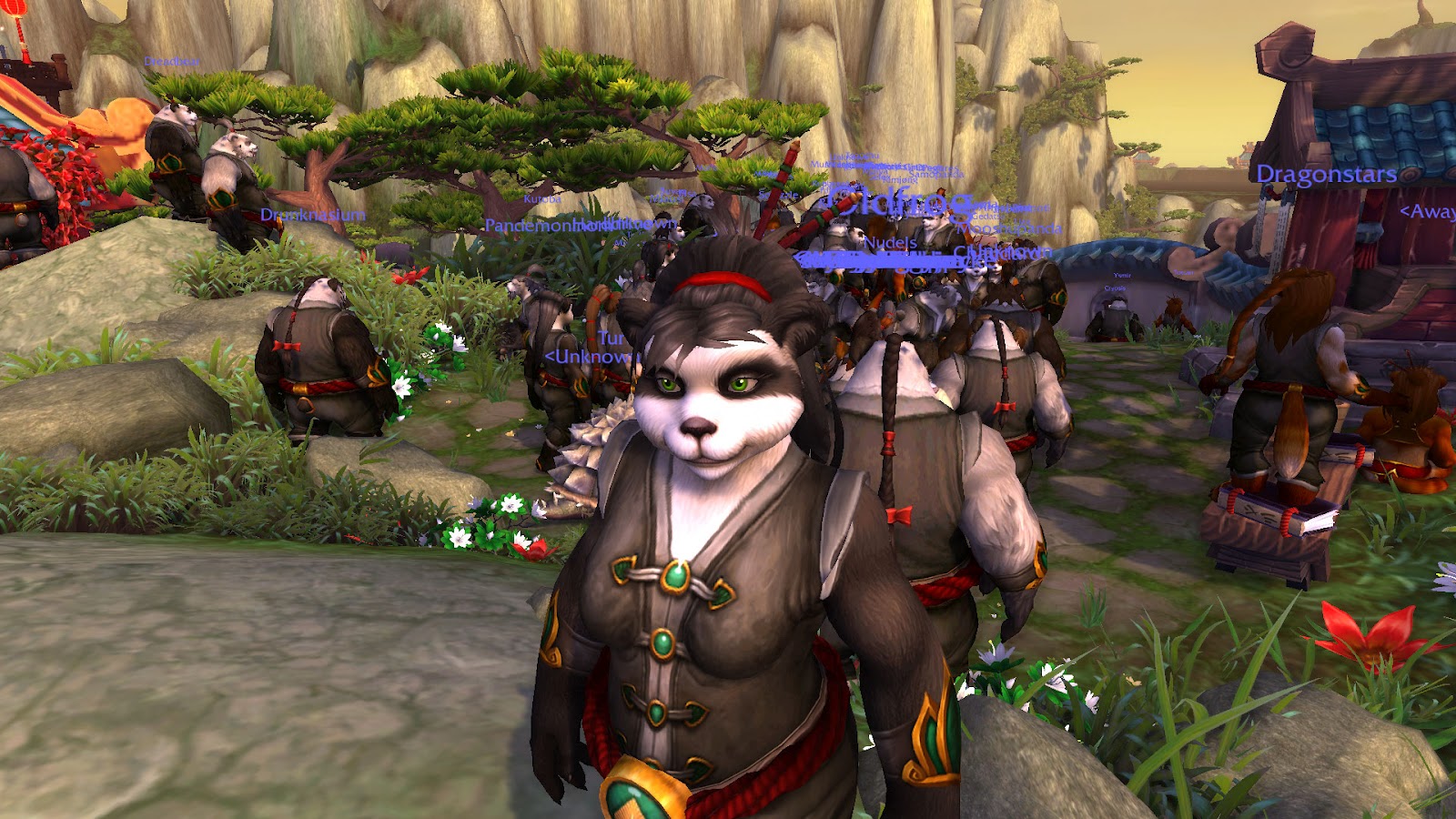ECTmmo.com- MMO Blog: The Adventures of Kaozz...: Pandas! (Quick Peek ...