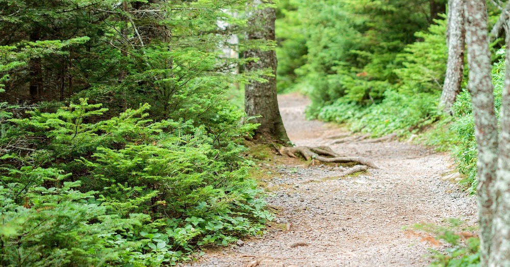 Bitstop: Torbay Point