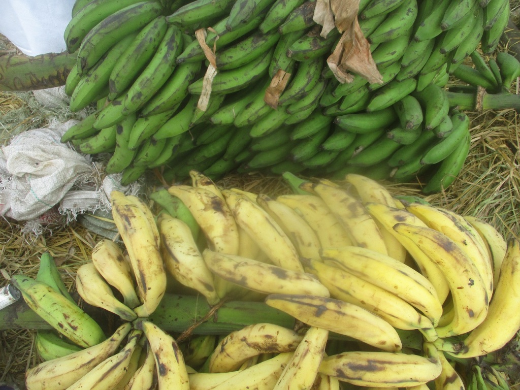 BEI ZA MATUNDA SOKO LA MABIBO KWA SIKU YA LEO - SOMA LATEST