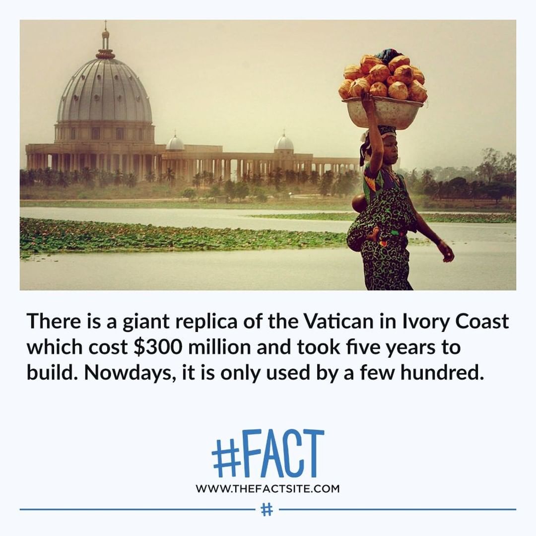 10 RANDOM TRUE FACTS – FUN FACTUAL ACTUAL FACTS 12 | Amazing WTF Facts