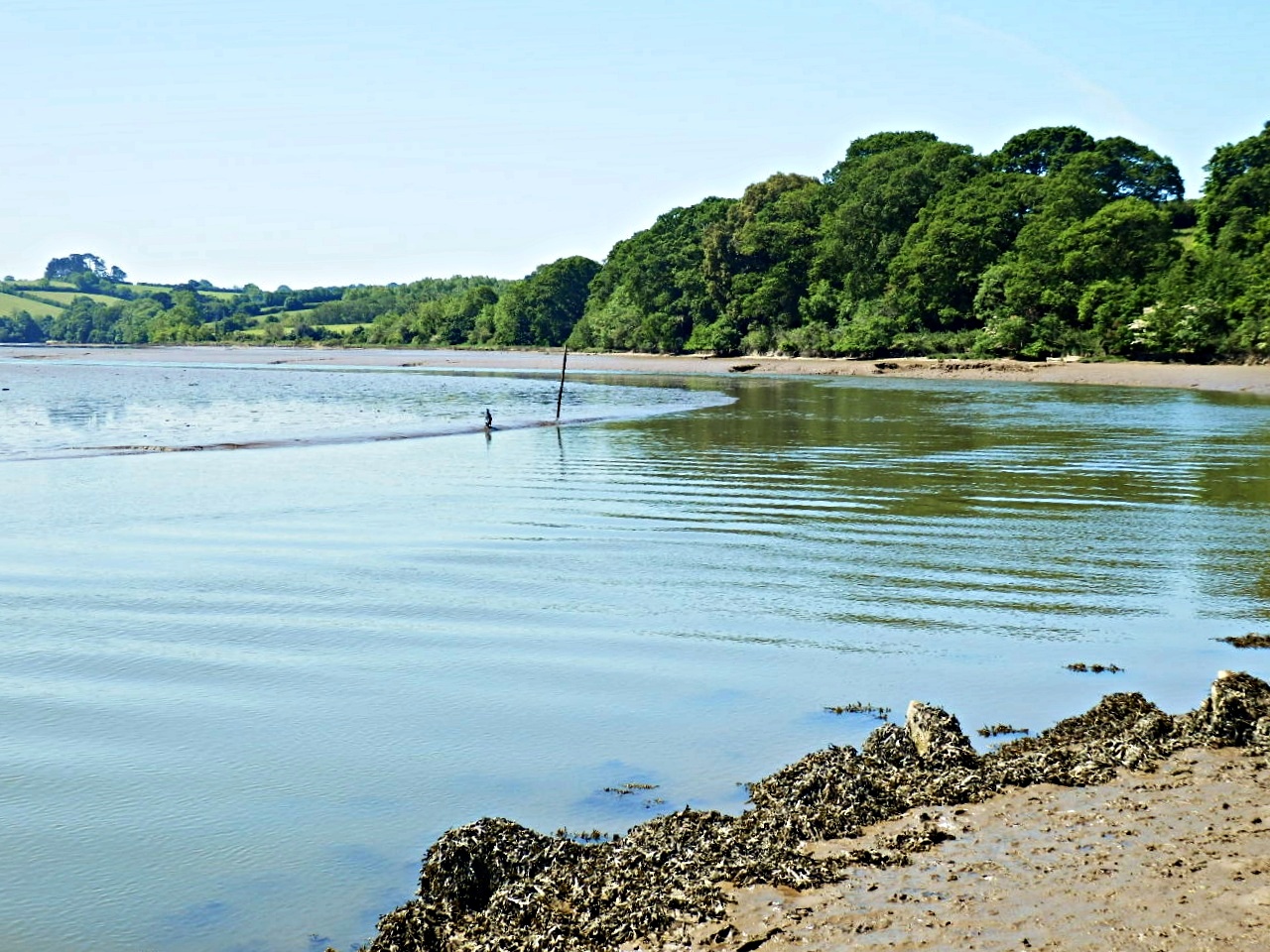 Mike's Cornwall: Village of St. Clement, The Tresillian River and The ...