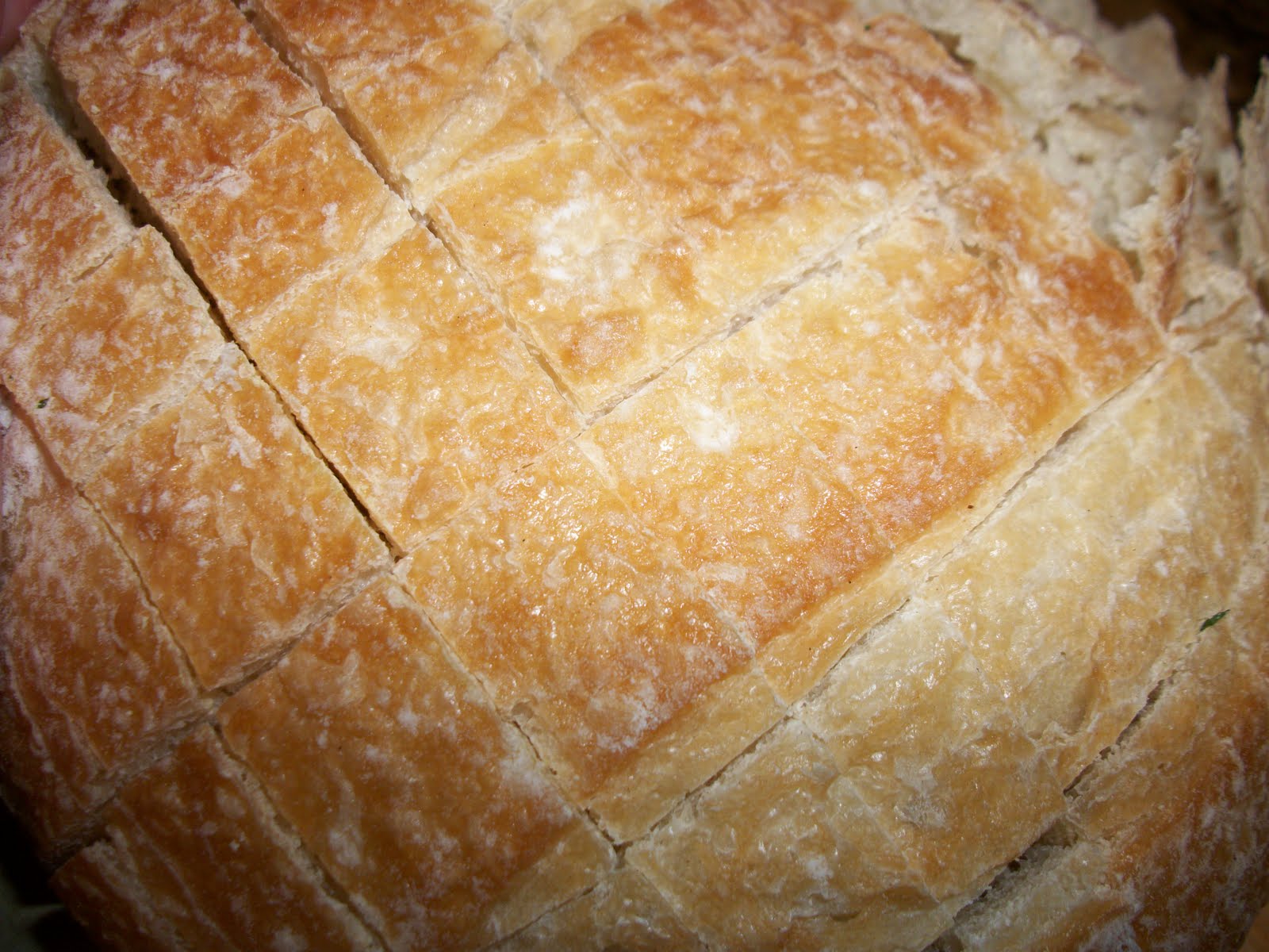 Kaitlin in the Kitchen: Bloomin' Garlic Parmesan Bread