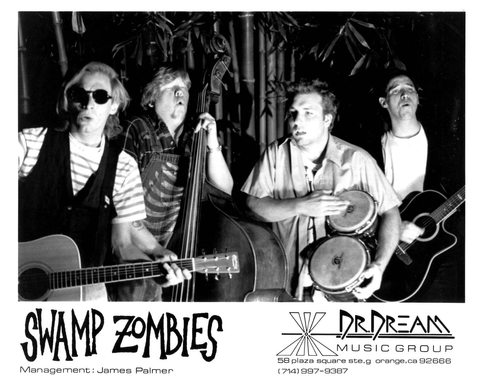 Lansure's Music Paraphernalia: SHAG | The Album Cover Art & Design Of ...