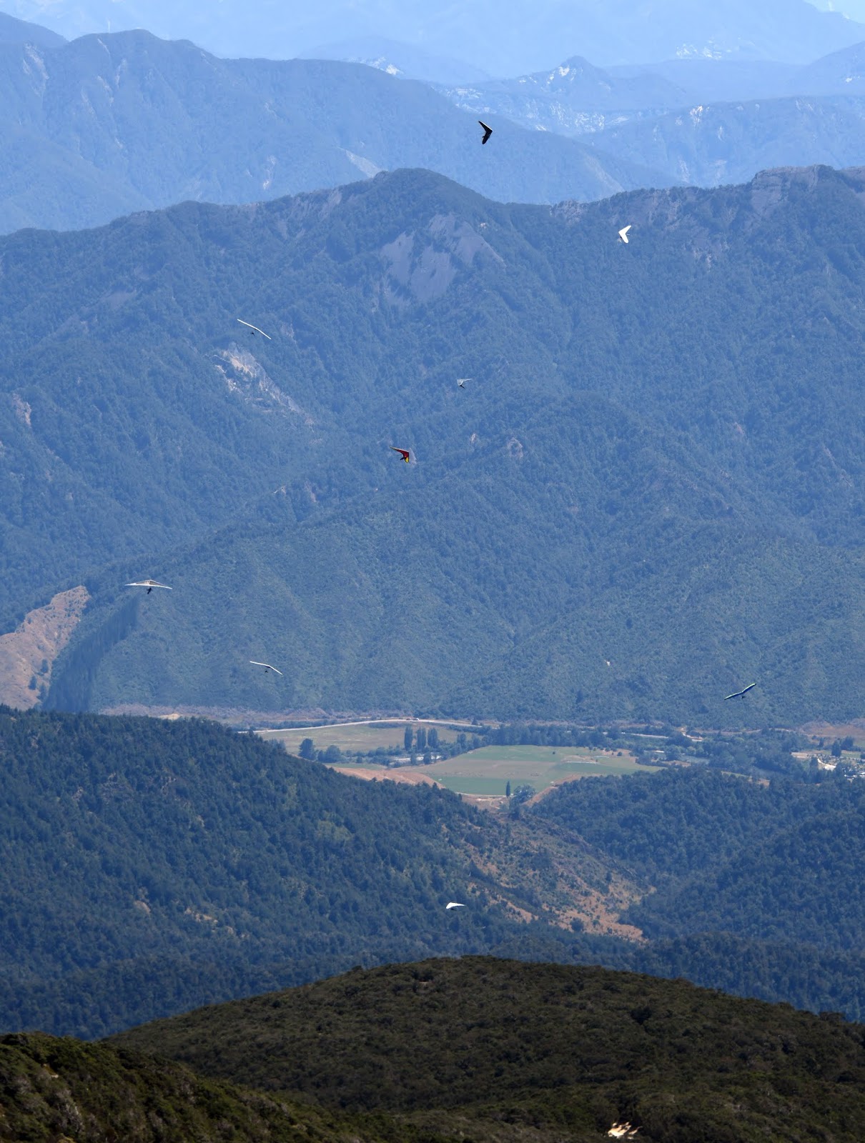 New Zealand Hang Gliding Competitions: 2019 Gallery