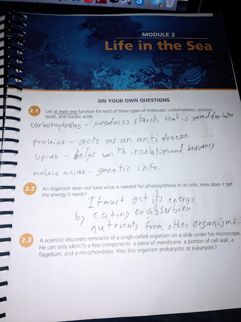Adventures with Jude: Apologia: Marine Biology (Homeschool Review Crew)