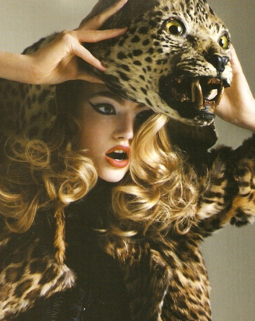 Zoo Fashion: Lady Leopard