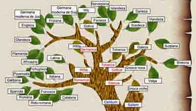 Clasificarea morfologică a limbilor - Enciclopediae