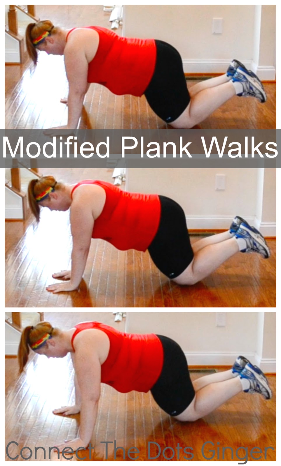 Connect the Dots Ginger | Becky Allen: Plus Size Fitness: Modified Core ...