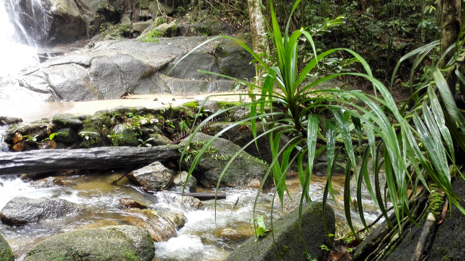 Sungai Sedim Jeram Terbaik Malaysia: 4x4 [ waterfall ] ride