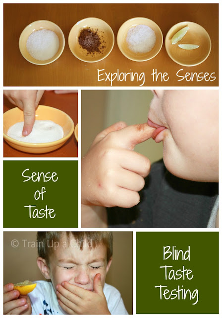 Exploring the Sense of Taste ~ Learn Play Imagine