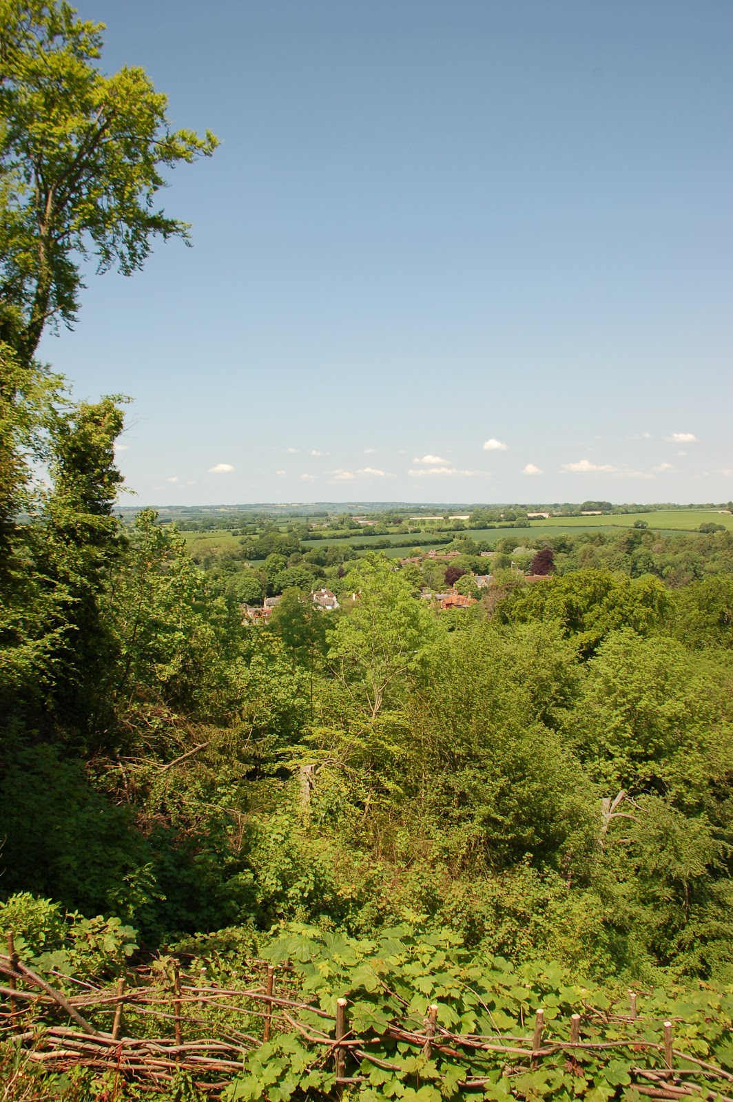 Honey Honey... Don't Stop: The Hunt for Drone Congregation Areas!