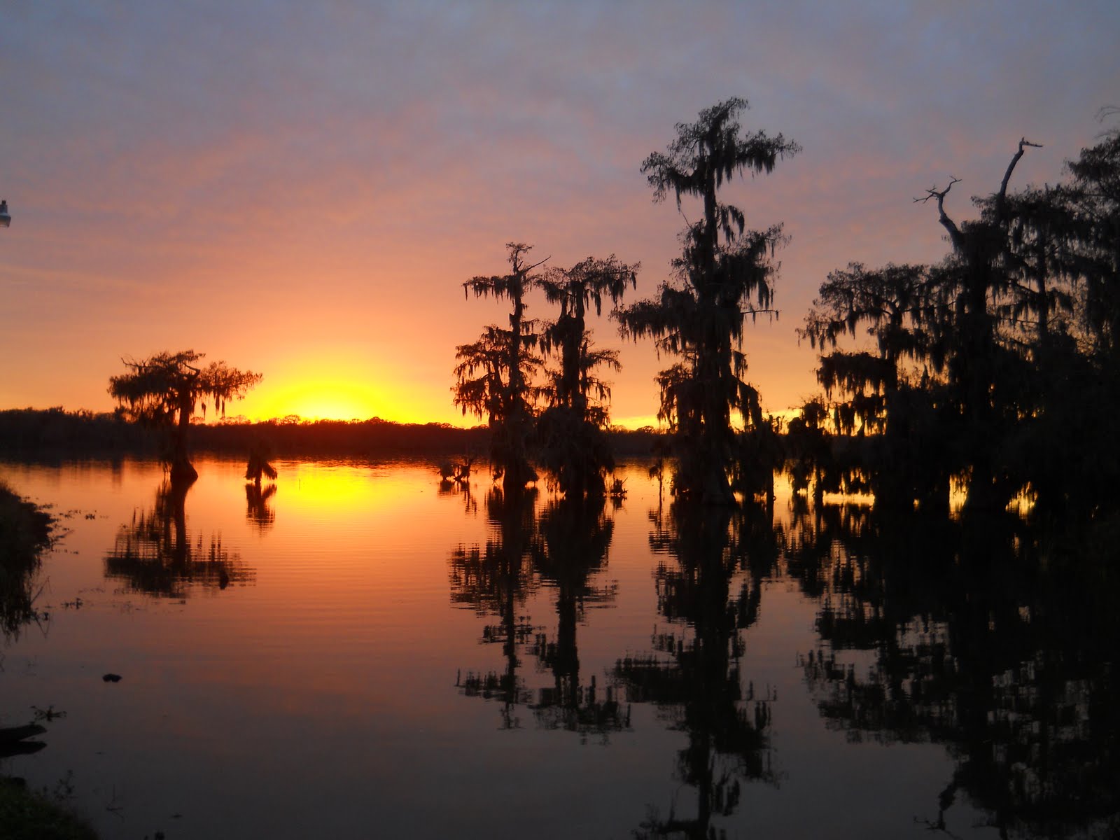 Louisiana Swamp Tours: Breaux Bridge Crawfish Festival Swamp Tours