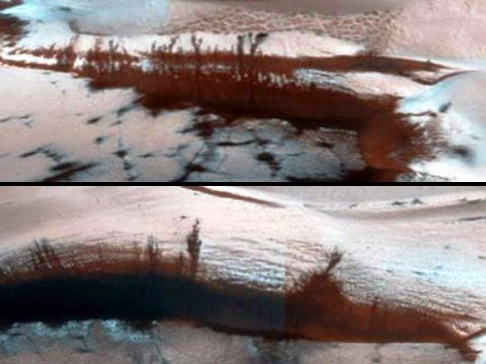 Photograph of Islands of Mars 'Trees' - Mar 17, 2014